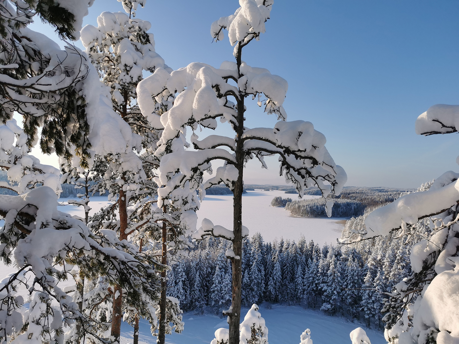 Luontonähtävyys – Visit Sulkava