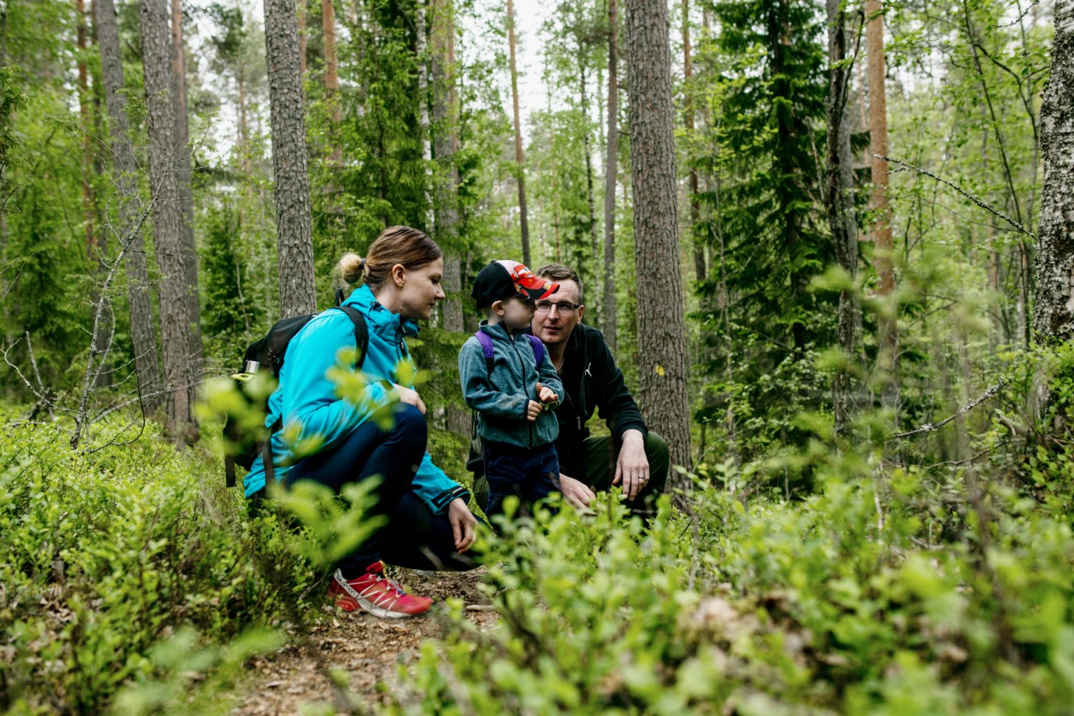 Annikinniemi nature trail – Visit Sulkava